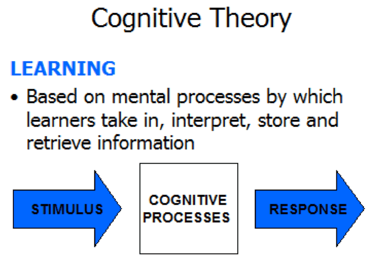 Cognitive Learning Theory: Benefits And Examples, 60% OFF Cognitive Learning Theory: Benefits And Examples, 60% OFF